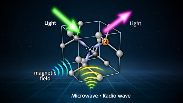 main-project / Quantum Metrology and Sensing